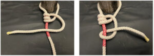 How to Tie The Double Half-Hitch Knot - The Survival University