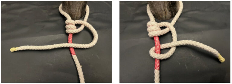 How to Tie The Double Half-Hitch Knot - The Survival University