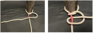 How to Tie The Double Half-Hitch Knot - The Survival University