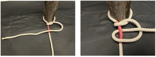 How to Tie The Double Half-Hitch Knot - The Survival University