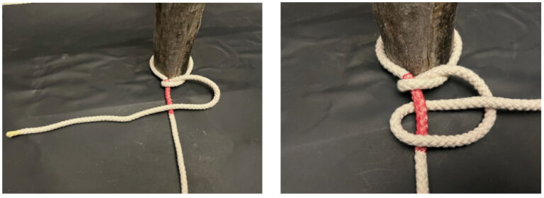 How to Tie The Double Half-Hitch Knot - The Survival University