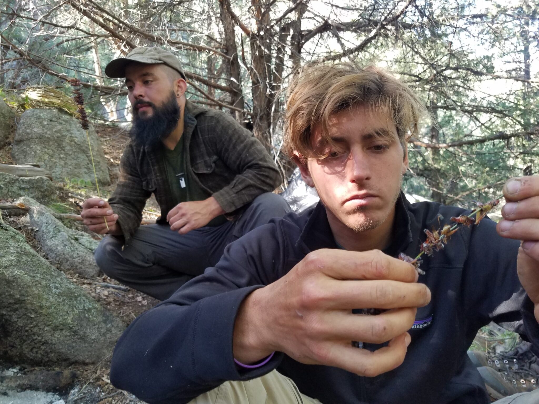 Survival Psychology and Creating a Survivalist Mindset - The Survival ...