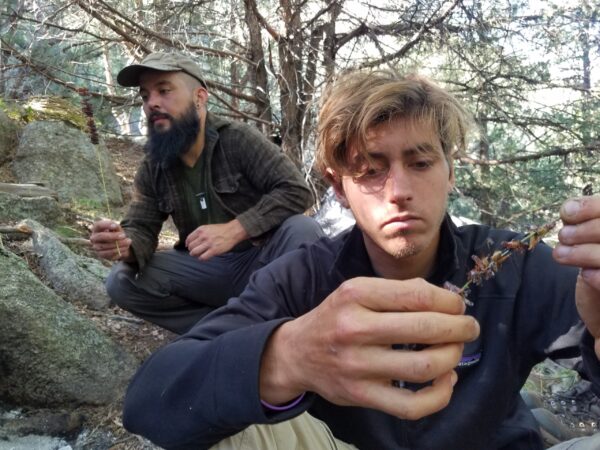Survival Psychology and Creating a Survivalist Mindset - The Survival ...