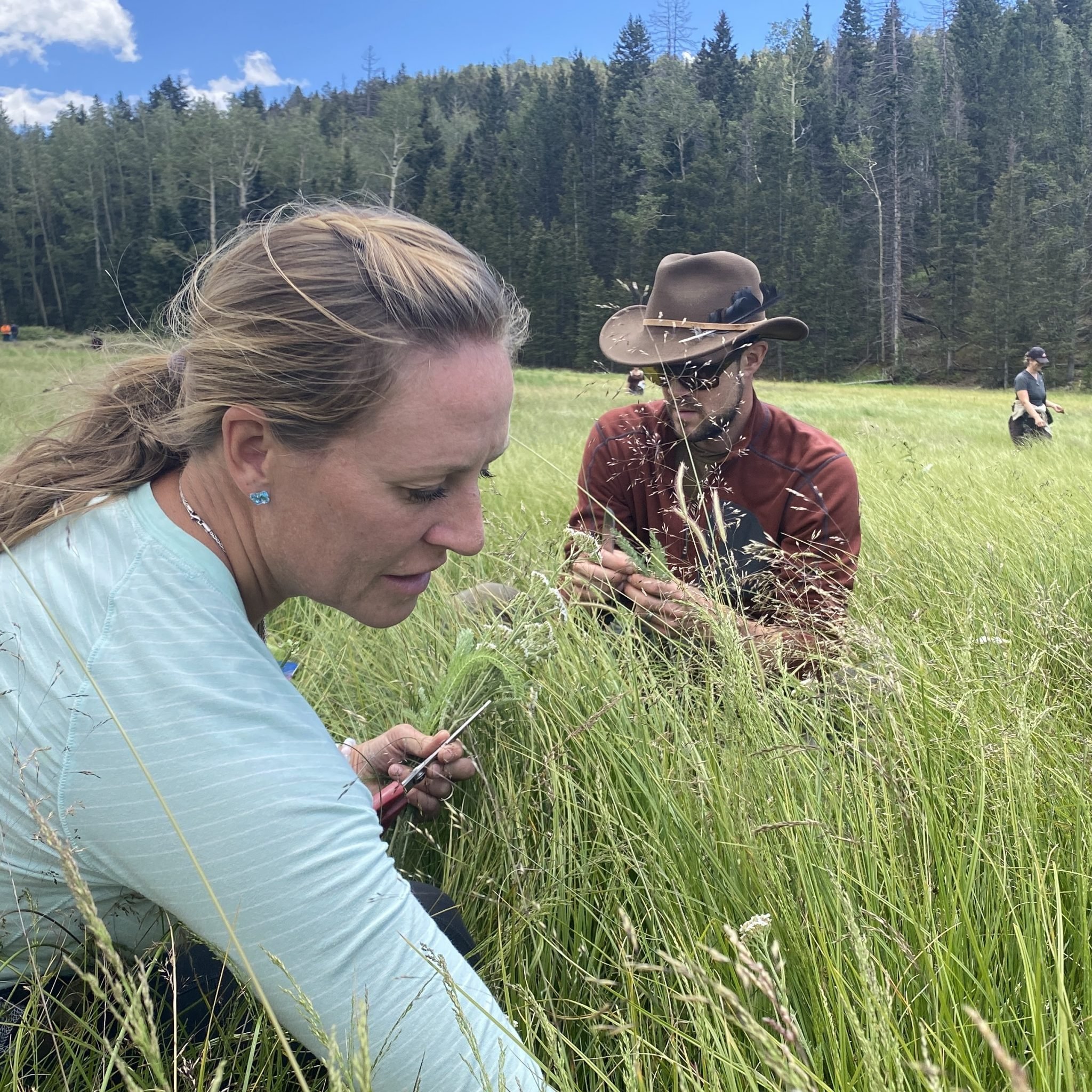 10 Reasons to Take a Survival Class at TSU - The Survival University