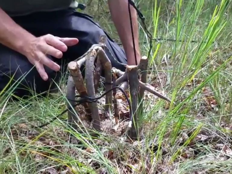 MOJAVE SCISSOR TRAP - The Survival University